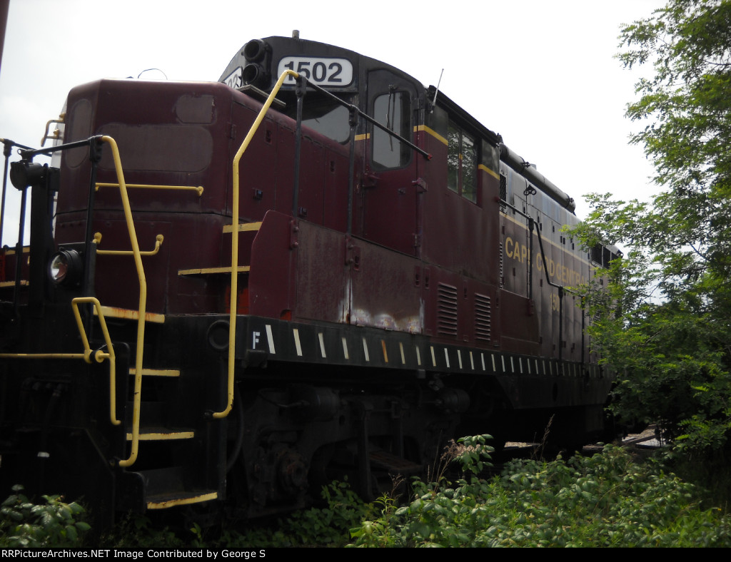 Cape Cod Central 1502